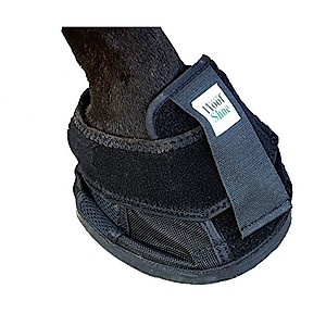 Intrepid International Penn Equine Natural Hoof Shoe, Size 2