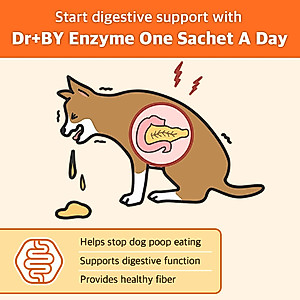 Doctor By Enzyme for Dogs Digestive Enzyme Supplements for Dogs with Protease, Amylase, Lipase - Promotes Digestion and Improves Nutrient Absorption - 30 Individually Packaged (1 Pack)