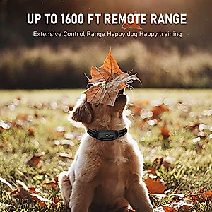 NVK Dog Training Collar, Single Collar Without Remote, Rechargeable Dog Training Collar with 3 Modes, Beep, Vibration and Shock, Waterproof Collar