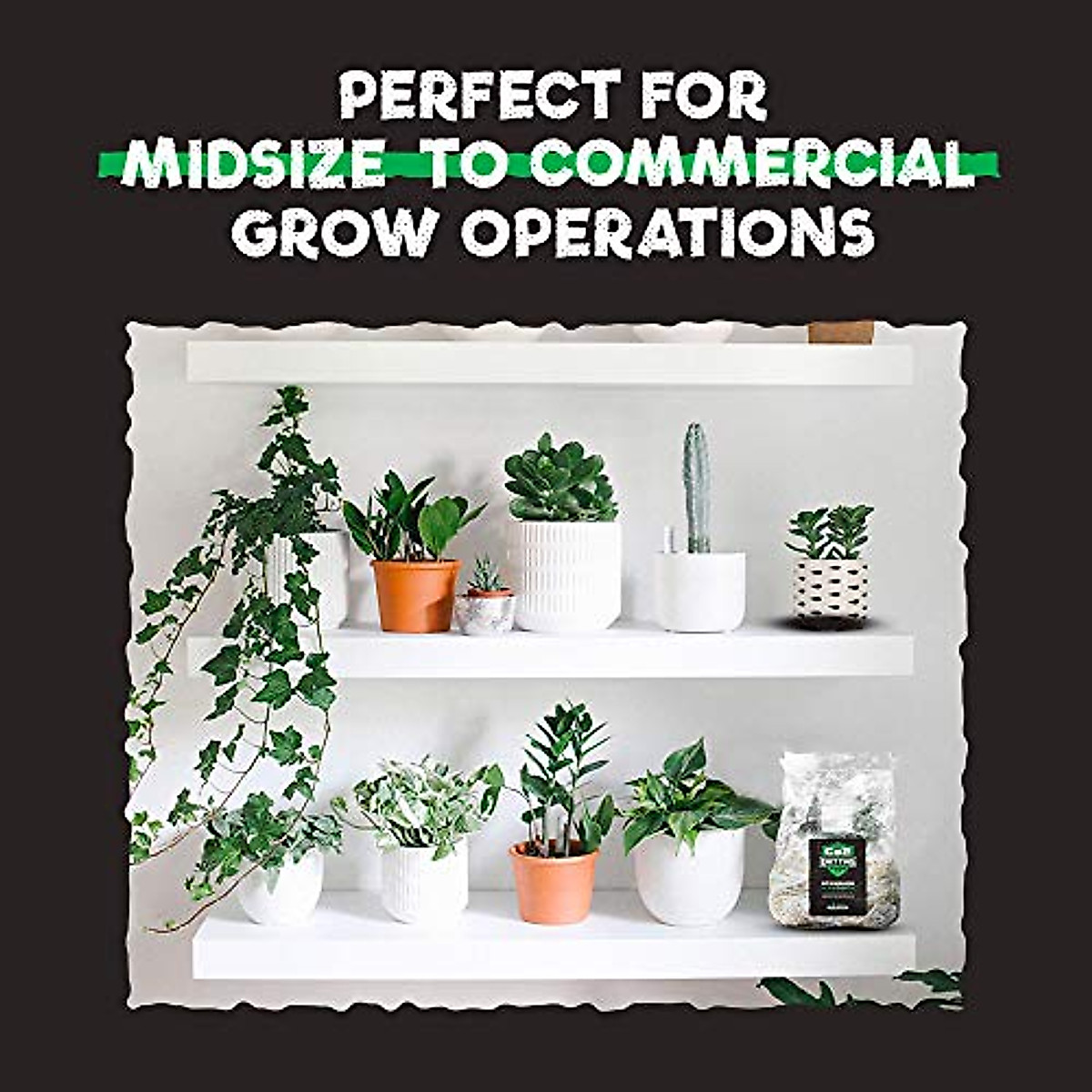 CO2 Emitting Reishi Mushroom Kits - Carbon Dioxide Booster Bag (Standard) - PRE-Activated