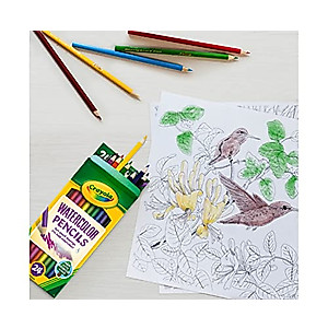 Crayola 24ct Watercolor Colored Pencils, Watercolor Paint Alternative, Craft Supplies