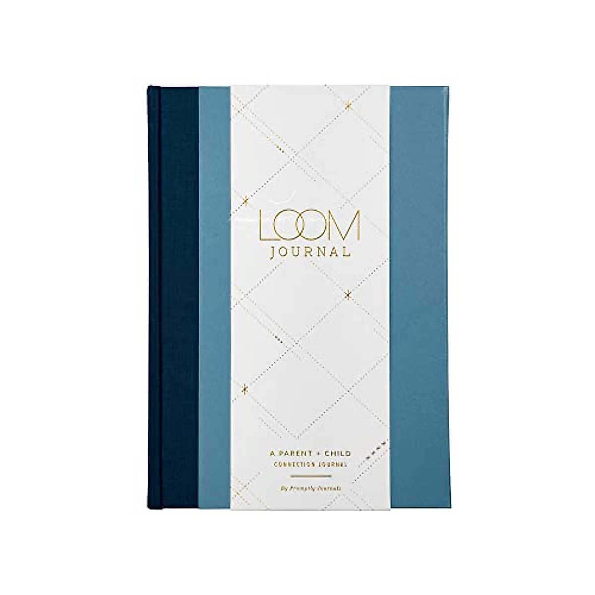 Promptly Journals, A Parent and Child Connection Journal (Dusty Blue) - Prompted Journal for Parent-Child Connection, Parent and Child Journal, Quality Time Gifts