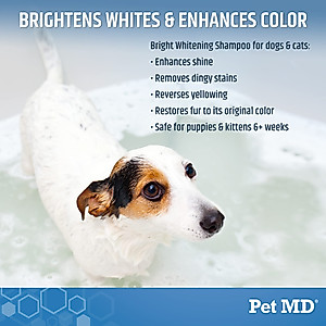 Pet MD Bright Whitening Shampoo for Dogs & Cats - Tearless Protein Enriched Shampoo w/Oatmeal for Brightening White & Light Colored Coats - Cleans, Adds Luster, & Controls Matting & Tangling - 12 oz