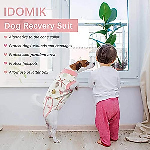 IDOMIK Dog Recovery Suit After Surgery, Soft Dog Surgery Recovery Suit for Male Female Pet Dogs Cats, Dog Spay Neuter Onesie Snugly Shirt, Dog Cone Alternative Anti-Licking Abdominal Wound
