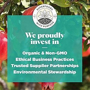 Navitas Organics Pomegranate Powder, 8oz. Bag, 45 Servings — Organic, Non-GMO, Freeze-Dried, Gluten-Free