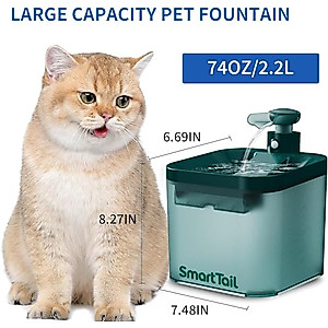 SmartTail Cat Water Fountain,Pet Water Fountain for Cats Indoor Battery Operated,74oz/2.2L Automatic Dog Water Dispenser with a Filter,Water Level Window,BPA-Free, Green