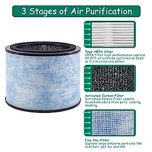Asheviller AP200 Filter Replacement, Compatible with Instant® AP200 Air Purifier, H13 Grade True HEPA Filter and Activated Carbon Filter, Compare to F200 Filter,2 Pack