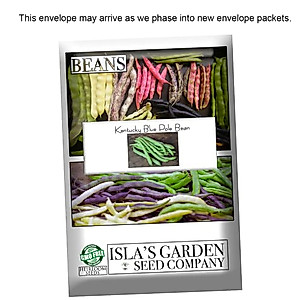 "Kentucky Blue" Pole Bean Seeds for Planting, 30+ Heirloom Seeds Per Packet, Non GMO Seeds, (Isla's Garden Seeds), Botanical Name: Phaseolus vulgaris, Great Home Garden Gift