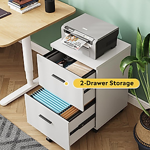 DEVAISE Wood File Cabinet, 2 Drawer Filing Cabinet for Home Office, Vertical File Cabinets with Wheels fits A4/Letter/Legal Size File, White