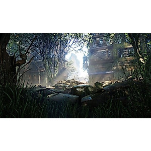 Crysis 3 - Playstation 3
