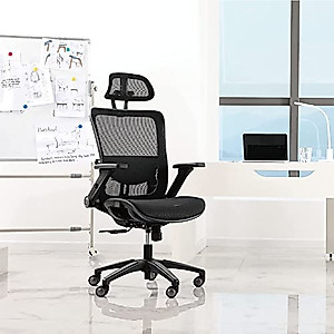 Ergonomic Office Chair, High Back Mesh Office Chair with 4D Adjustable Flip-Up Armrest, Swivel Rolling Computer Desk Chair with Lumbar Support and Adjustable Headrest, Tilt Function, Black