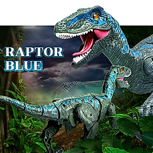 Hot Bee Remote Control Dinosaurs for Boys Age 4-7 8-12, Dionsaur Blue from Dinosaur World - Multifunction RC Robot Dinosaur Toys w/ 3D Eye ED Light, Roaring & Shaking Head, Tail Wagging