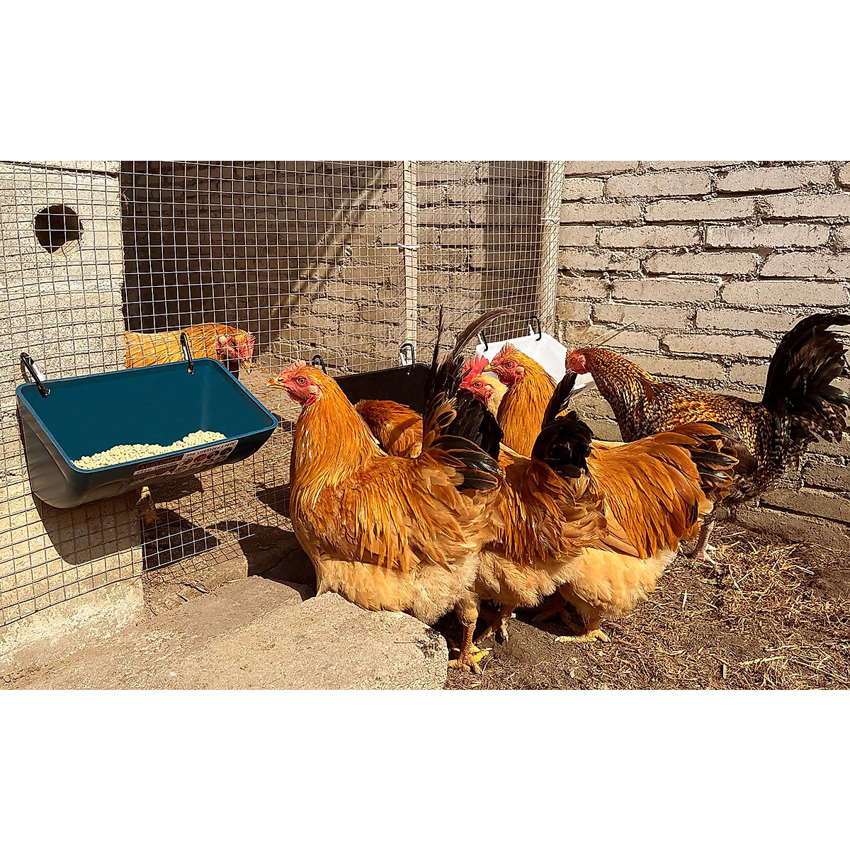 2 Pack Feed Trough and Waterer Bucket with Clips, for Goat Chicken Duck Sheeple Dog Piglets Deer Goose, Turkeys, Goat Feeder Supplies, 4.5 Quart (Appearance Patent Product)