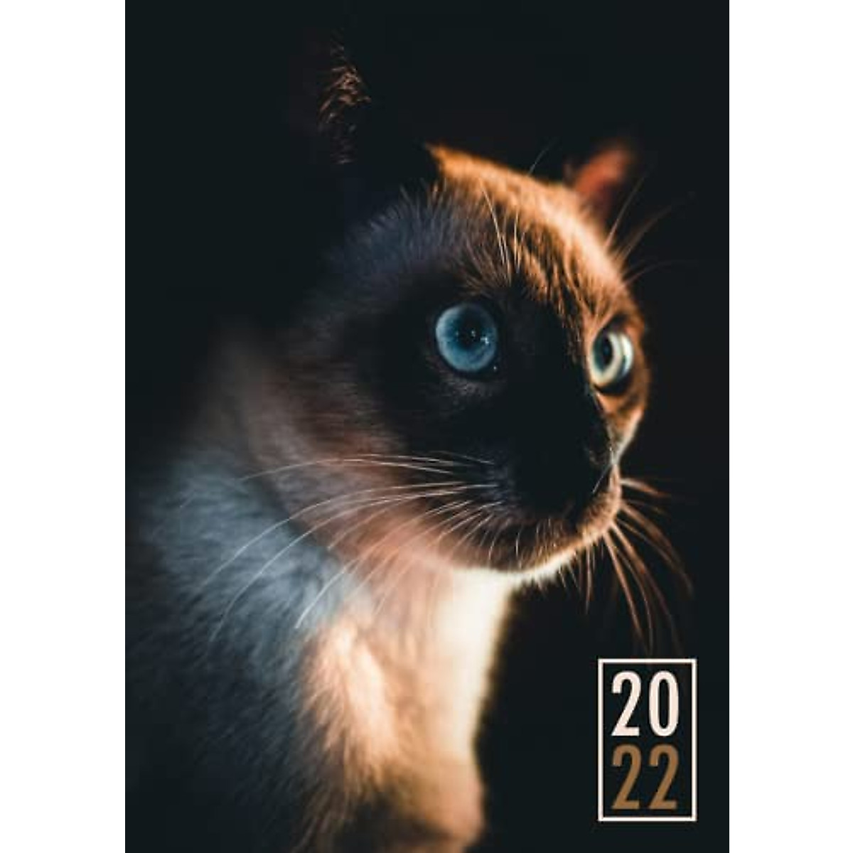 Agenda 2022 Journalier A4: Planificateur 12 Mois (Janvier à Décembre) Grand Format avec Calendrier et horaires, 1 Jour par Page, avec Planification Mensuel, Couverture avec Chat (French Edition)
