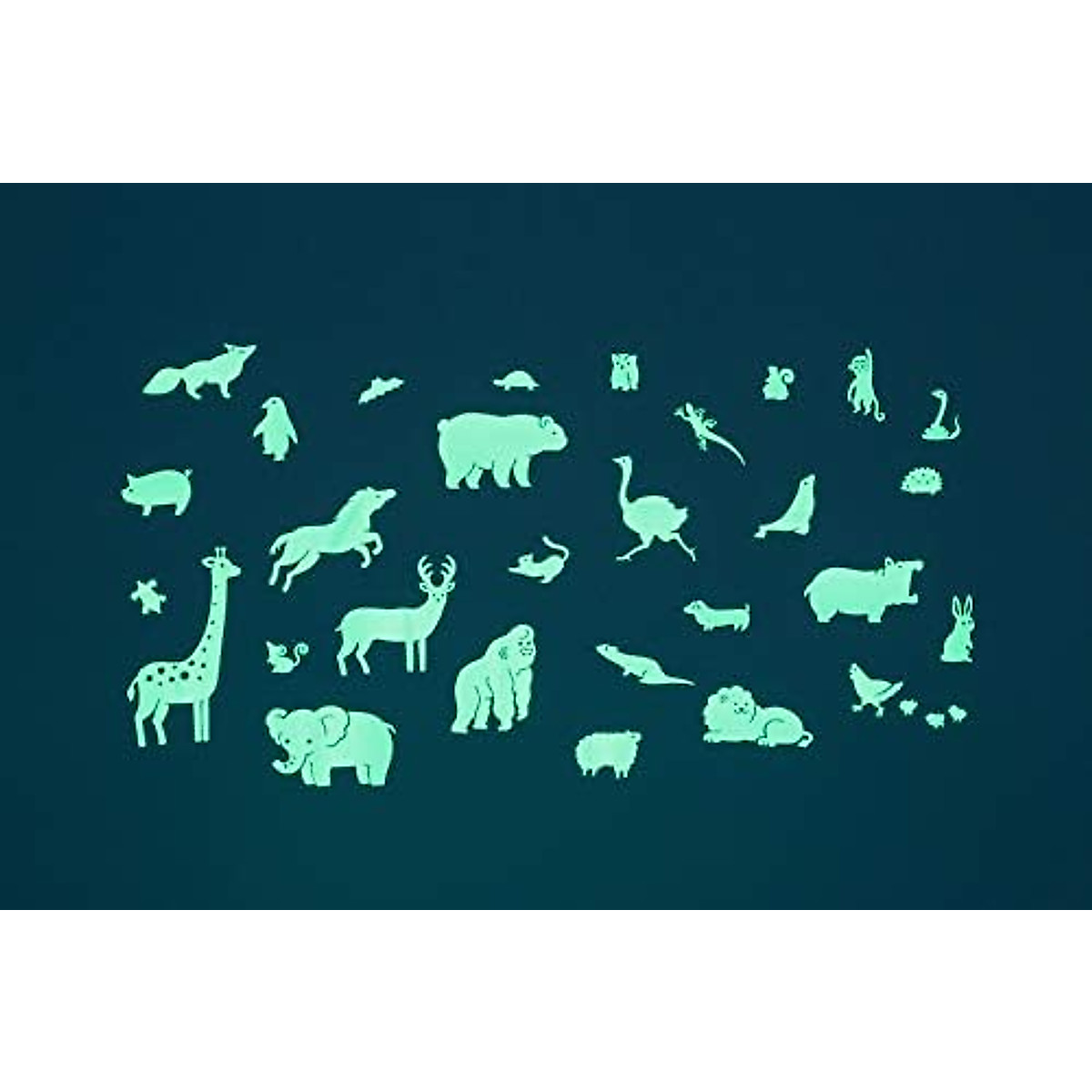 GLOPLAY Animal Series(29 pcs/Pack), Glow in The Dark Educational Wall Stickers, The Eco-Friendly and Brightest Wall Stickers for Ceiling, Bathtime, Bedroom, Party, Decor