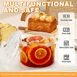 Glass Cooking Pot with Lid and Serving Bowl Set (64OZ/1.9L) - Durable Glass Simmer Pot for Stove Top - Clear Pots for Cooking, Potpourri, Pasta, Soup, Ramen, ect (Comes with Silicone Trivet Mat)