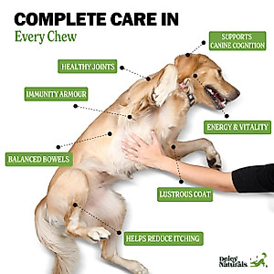 Deley Naturals Dog Multivitamins Chewable - 15 in 1 Dog Vitamins and Supplements for Immune System, Skin, Joint Support & Digestion - Dog Multivitamin for All Ages - Dog Vitamins Made in The USA