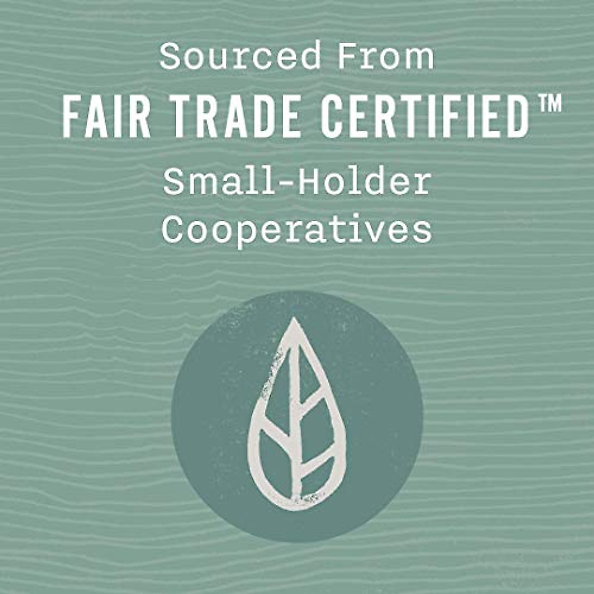 Allegro Coffee Organic French Roast Whole Bean Coffee, 12 oz