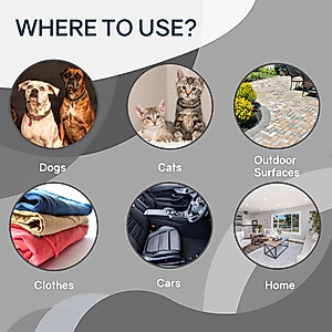 Skunk Off Skunk Odor Eliminator Premise Spray – Ready-to-Use Skunk Odor Remover for House, Outdoors, Cars, Laundry, & More – Skunk Spray w/Safe, Non-Enzymatic Formula (1 Gallon)