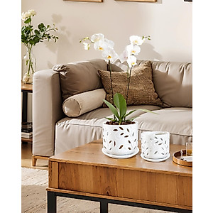 BUYMAX Set of 2 Orchid Pots with Holes & Saucers for Orchid Root Health, 5 inch&6 inch Ceramic Pots for Plants, Effective Drainage and Ventilation to Assist New Plants or Repotting