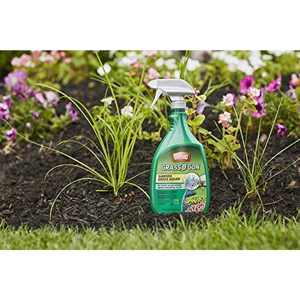 Ortho 0438580 Grass B Gon Garden Grass Killer Ready-to-Use, 24-Ounce (3)