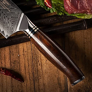 YARENH Damascus Chef Knife 8 Inch with Sheath, Professional Kitchen Knife, 73 Layers Japanese Damascus High Carbon Steel, Full Tang Sandalwood Handle, FYW Series