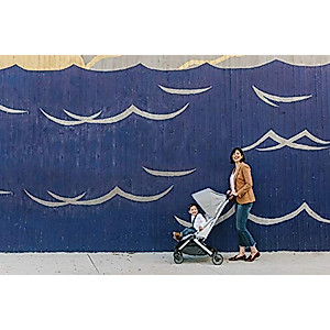 UPPAbaby MINU/MINU V2 Stroller Rain Shield