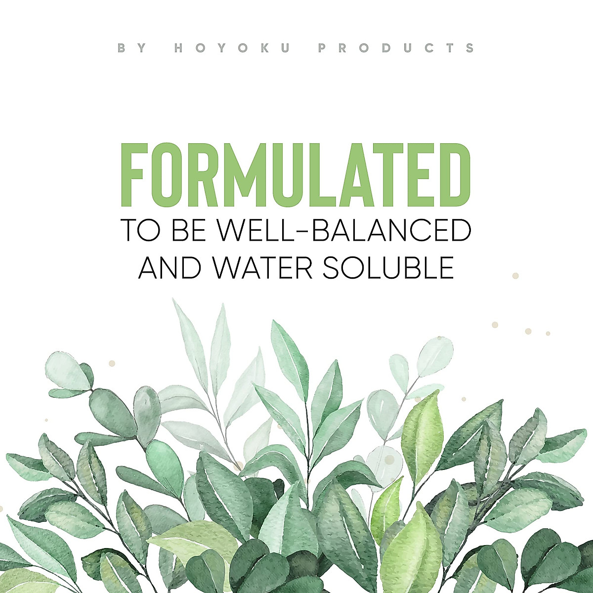 Bonsai Fertilizer by Ho Yoku - Water Soluble and Free of Odor, 3-3-3 Liquid Bonsai Food and Fast Acting for Indoor Plants