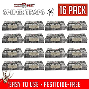 Spider Traps for Inside Your Home (16 Traps) - Spider Catcher Insect Traps Indoor - Spider Traps Indoor Bug Traps Sticky Traps for Spiders - Pre Baited Ultra Sticky Insect Glue Traps - Trap a Pest