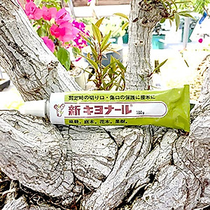 Kiyonal New Bonsai Pruning Cutting Paste 100g Made in Japan