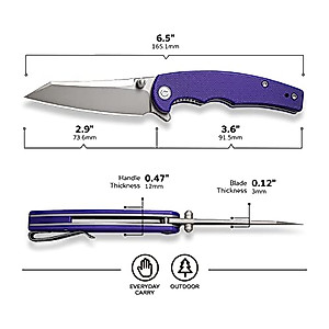 CIVIVI P87 Folder EDC Knife, Kaila Cumings 2.9-in Nitro-V Silver Bead Blasted Blade Reverse Tanto, G10 Handle with A Thumb Stud Liner Lock Folding Pocket Knife for Everyday Carry (Purple)