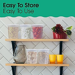 BaydenB 32 oz Deli Containers with Lids | Food-Grade Plastic, Microwave and Freezer Safe, Stackable, Leak-Proof, and Versatile for Meal Prep, Leftovers, and Takeout Storage (15)