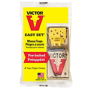 Victor EZ Set Wooden Snap Trap - 12 Pack