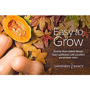 Butternut Squash Seeds for Planting - Waltham Heirloom Non-GMO Winter Storage Vegetable Plant for Home Garden Vegetables Makes a Great Gift for Gardening by Gardeners Basics