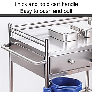 ENKEZI Medical Cart, Medical Trolley 2 Tier Heavy Duty Medical Utility Cart, Trolley Stainless Steel Serving Lab Equipment Beverage Cart, for Hospital Dental Clinic Home (Size : 80x48cm(31.5x18.9in)