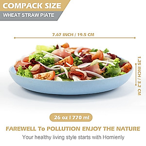 PTNITWO Lightweight Wheat Straw Plates,Plastic Plates Reusable,Unbreakable Deep Dinner Plates, Assorted Colors Dinnerware Sets,Dishwasher Safe