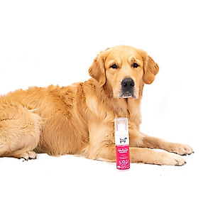 Hownd Got an Itch? Ultra Conditioning & Soothing Anti-Itch Shampoo for Dogs w/Dry, Flaky Skin, with Rose, Bergamot & Aloe Vera, Restores Dry Coats - Vegan Formula, Cruelty Free