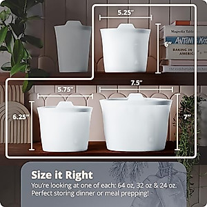 Greater Goods Reusable Silicone Food Storage Bags, Stand Up Zip, Multi-Use Storage containers, BPA- Free, Dishwasher, Microwave, and Oven Safe, Clear, Dish Set (24 Oz, 32 Oz, 64 Oz)