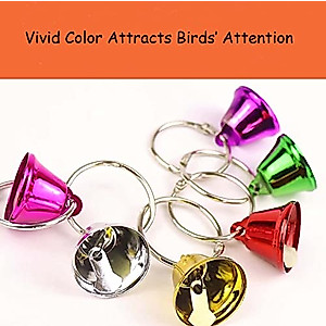 Fejapa 3 Pack Bird Bells Toy Chewing Hanging Ring Toy Cage Bite for Pet Budgie Parakeet Cockatiel Conure Macaw African Grey Eclectus Cockatoo Finches Lovebird Quaker Parrot Finch Canary