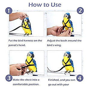 SZSJBK Bird Harness, Adjustable Parrot Nylon Leash with Anti-bite Design for Outdoor Activities Training, Suitable for Eastern Bluebonnet Parrot, Cockatoo, Parakeet, Doves 6.2ft (S)