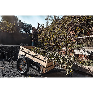 Burley Flatbed™, Aluminum Utility Cargo Bike Trailer