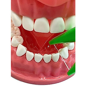E-Z Floss Dental Floss Holder