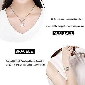 JIAYIQI Wife Charm Fit Pandora Charms Bracelet 925 Sterling Silver Dangle Beads with Cubic Zirconias Heart Shape Love Charms for Women Birthday Valentine's Day Present