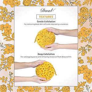 Spongentle Deep Cleansing Body Loofah Sponge, Natural Colors, for Bath and Shower, Multiple Textures for Gentle and Deep Exfoliation, Generous and Rich Lather, (Pack of 3)