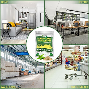 ADDOT Rodent Mouse Repellent Indoor - Powerful Pest Repeller for Mice, Squirrels, Bats, and More - 10 Pack, 30g Effective Peppermint Deterrent for Attic, Garage, RV, Basement, House, and Warehouse,