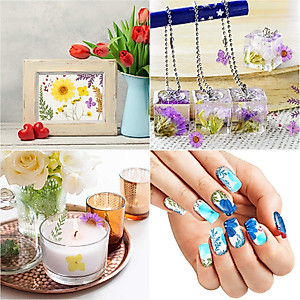 109 Pieces Real Dried Press Flowers Set, Natural Pressed Dry Flowers Leaves Mixed Multiple Dried Flowers with Tweezers for Craft DIY Candle Resin Jewelry Nail Pendant Making Supplies