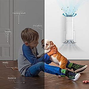Plug in Air Purifier, Portable UV Air Purifier for Viruses and Bacteria, Keep Air Clean for Bedroom, Kitchen, Bathroom, Pet Area, Small Rooms