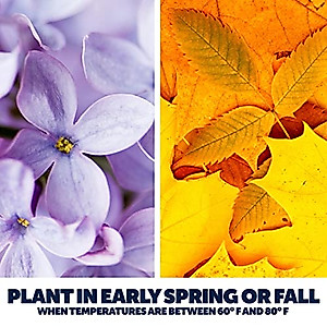 Pennington Lawn Booster Sun & Shade Mix Grass Seed & Fertilizer 9.6 lb