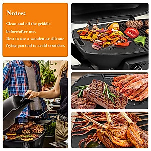 Hisencn Cast Iron Reversible Griddle for Napoleon Portable Barbecue Grill All TravelQ 285 Series, for Napoleon Pro285x, PRO285X-BK, PRO285-BK, PRO285, TQ285X, TQ285X-1, TQ285X-BL, Non-Stick, 1-Pack
