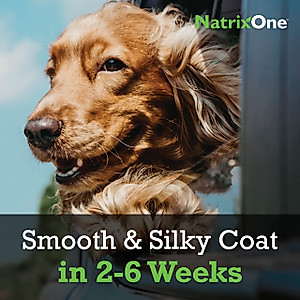 Camelina Oil for Dogs, Dog Skin and Coat Supplement All-Natural Supplements, Support Hearts, Joints, Coats, Skin and Anti-inflammatory Systems, Protective & Maintenance Care, 16 oz by NatrixOne